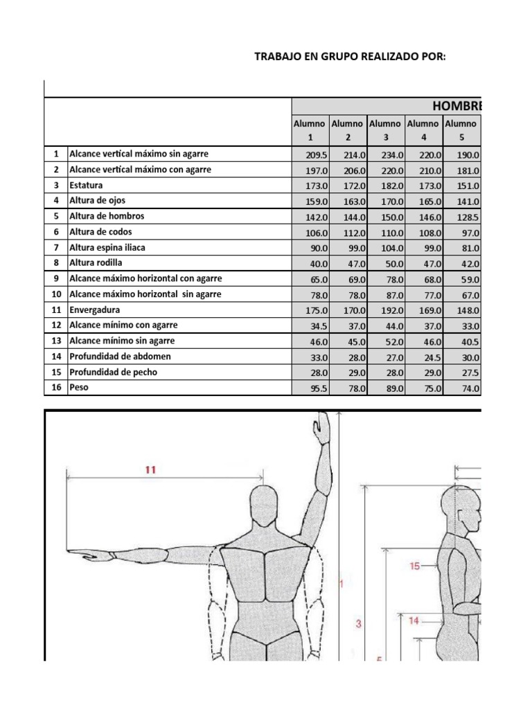 Antropometria Pdf Antropometría Cuerpo Humano