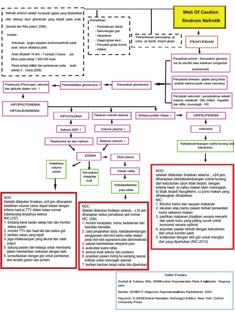 WOC Nefrotik | PDF