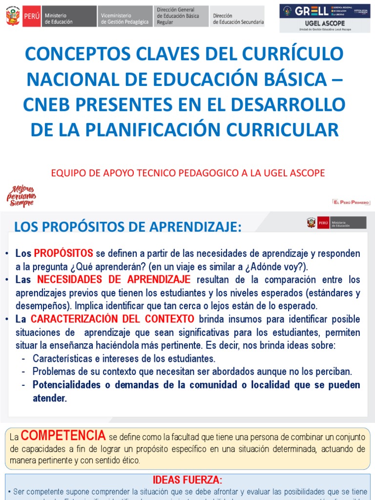Conceptos Claves Del Cneb 2019 | PDF | Biodiversidad | Aprendizaje