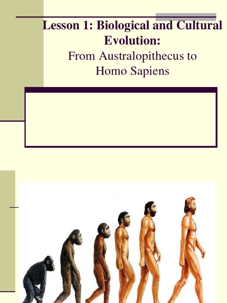 Biological and Cultural Evolution | PDF | Homo | Pliocene