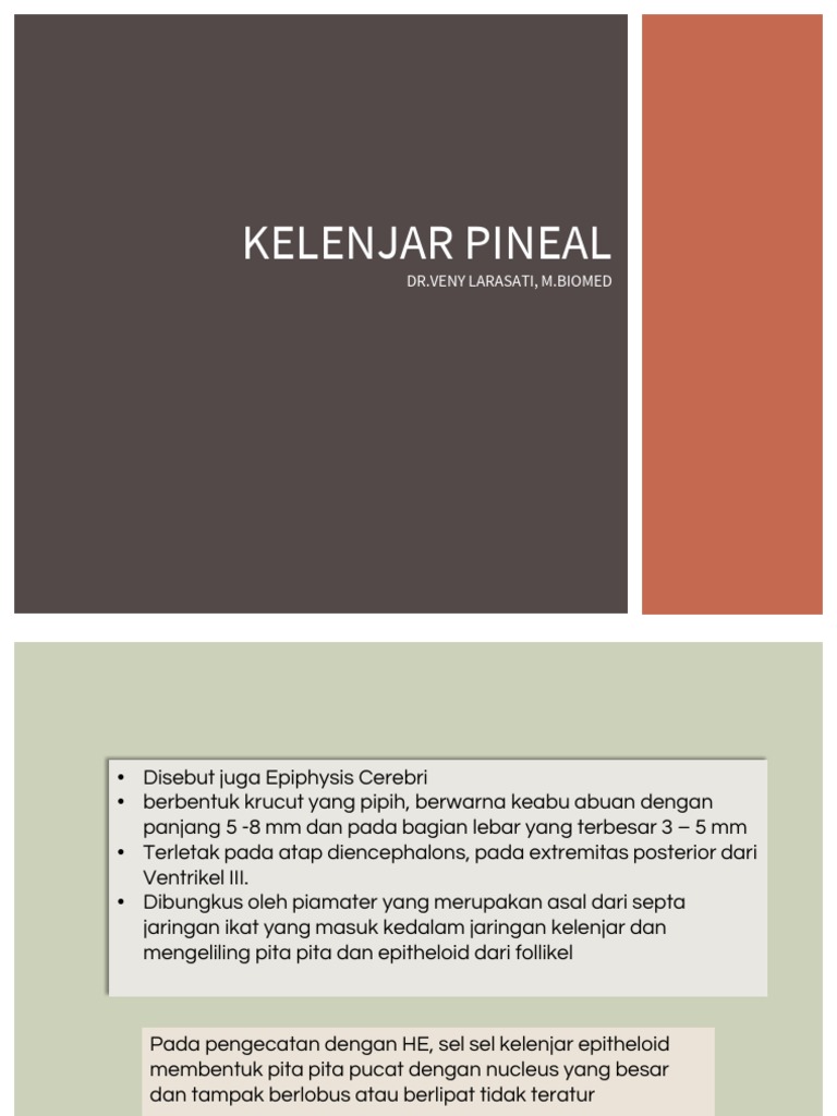Kelenjar Pineal | PDF