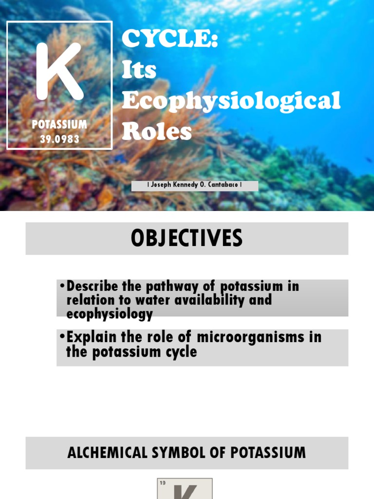 Potassium Cycle | PDF | Potassium | Diet & Nutrition