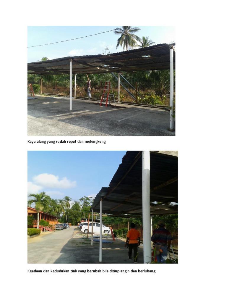 Kayu Alang Yang Sudah Reput Dan Melengkung | PDF