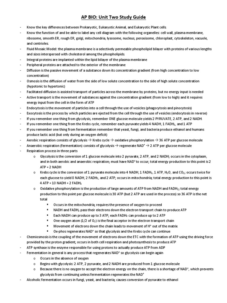 AP Bio Unit 2 Study Guide | PDF | Cellular Respiration | Adenosine ...