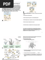 The Origin of Species, The Beak of The Finch | PDF | Species ...