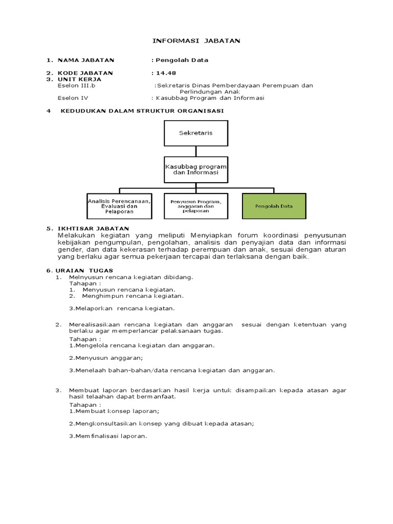 INFORMASI JABATAN Pengolah Data | PDF