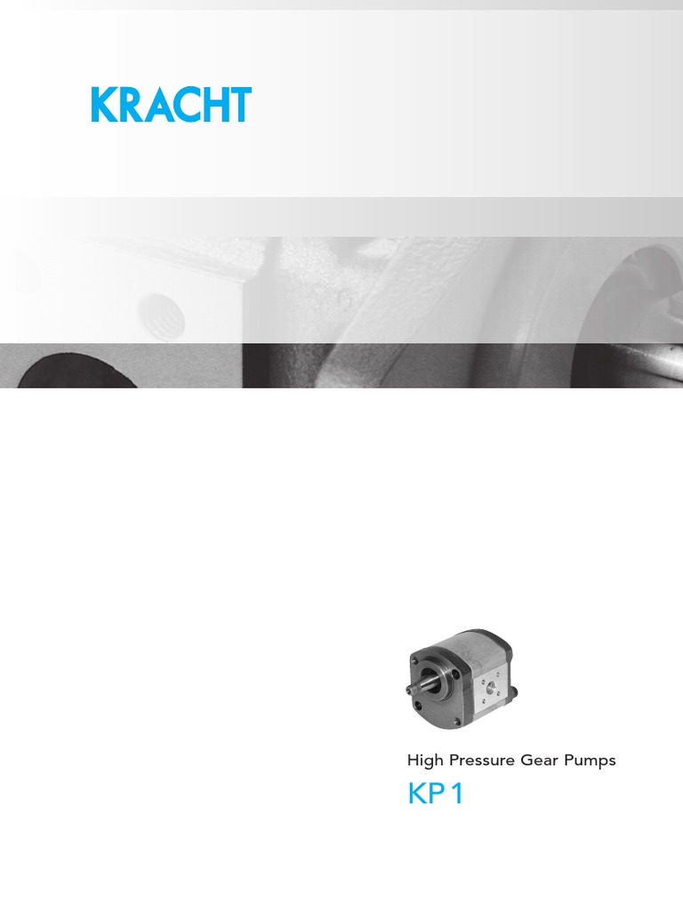 KP1 GB 10-08 | PDF | Bearing (Mechanical) | Pump