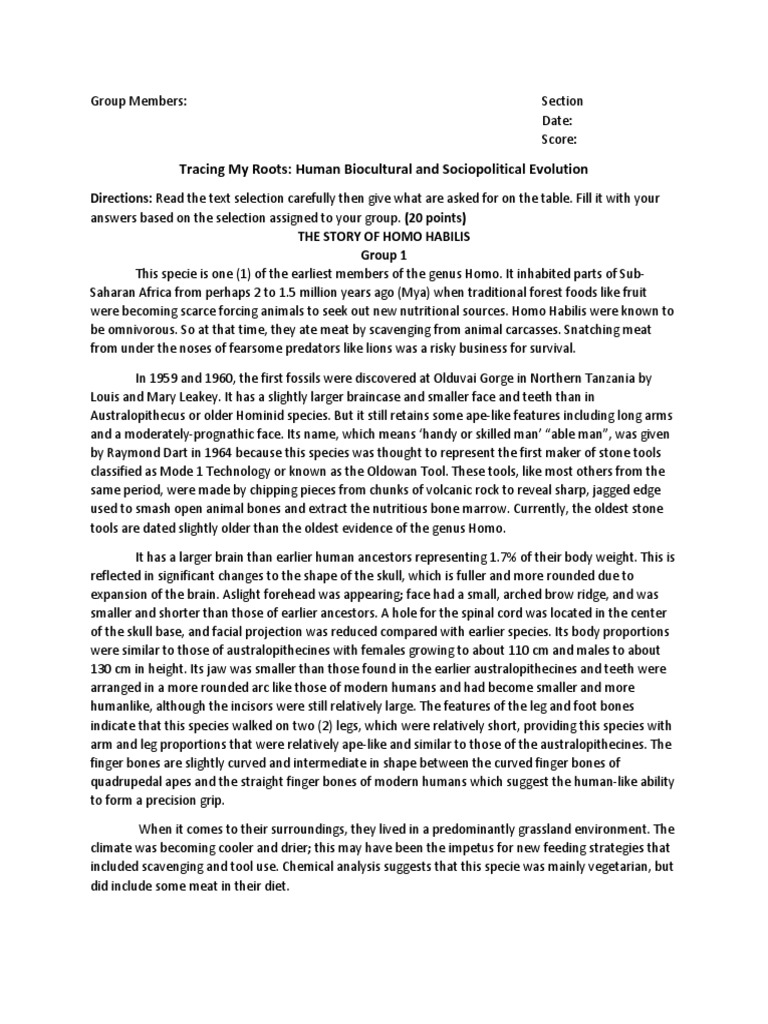 Homo Sapiens Activity | PDF | Homo | Neanderthal