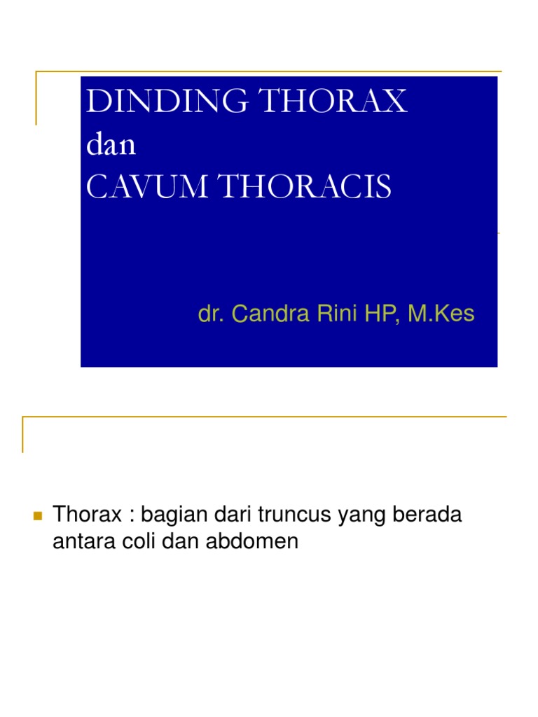 Dinding Thorax Dan Cavum Thoracis | PDF