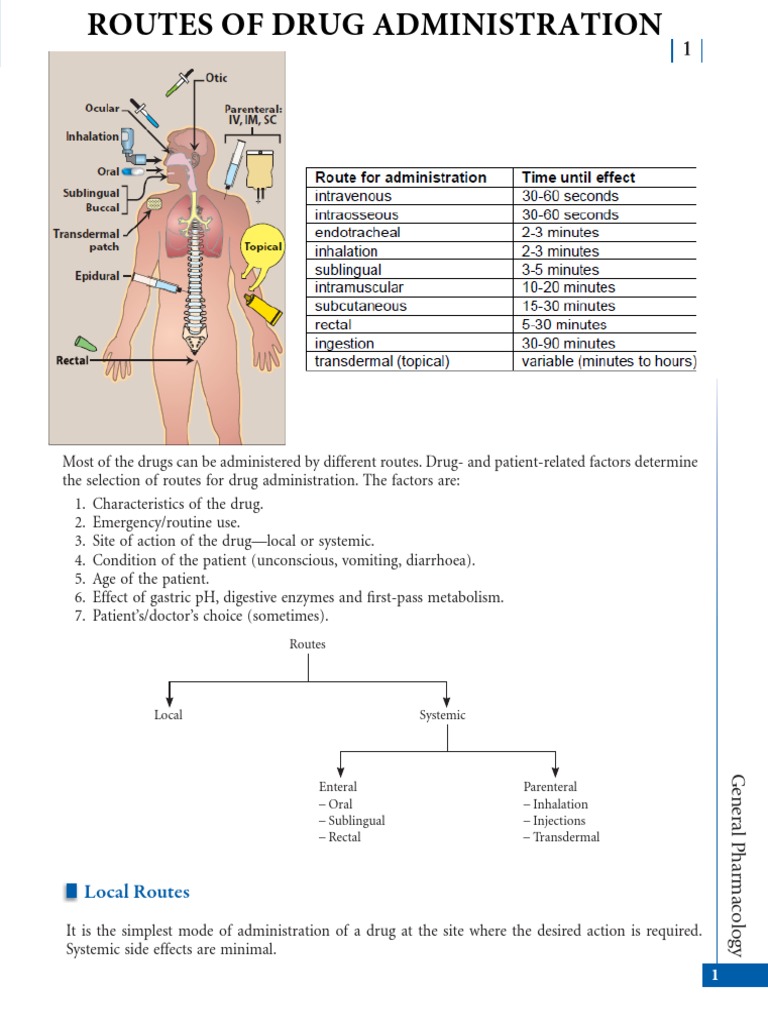 Routes-Of-Adminstartion 1 | PDF | Injection (Medicine) | Intravenous ...