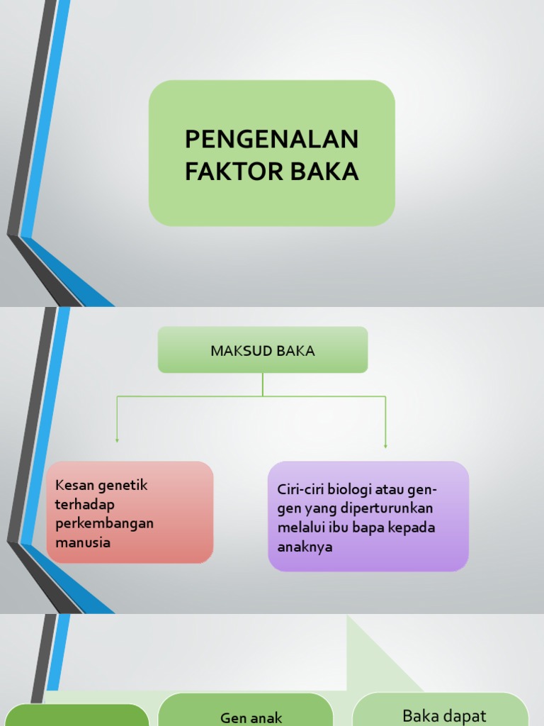 Perkembangan Kanak-Kanak (Baka) | PDF