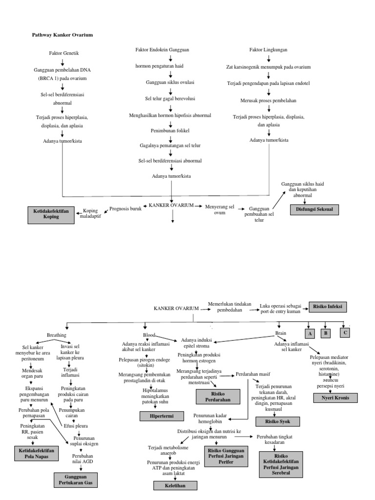 Pathway CA Ovarium 1 | PDF