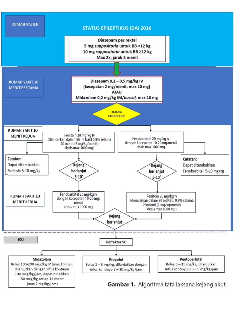 Status Epileptikus Idai 2016 | PDF