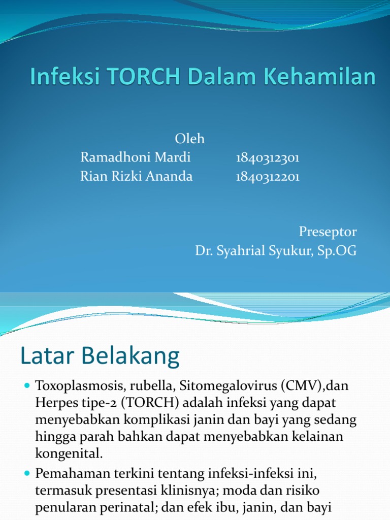 Infeksi TORCH Dalam Kehamilan | PDF
