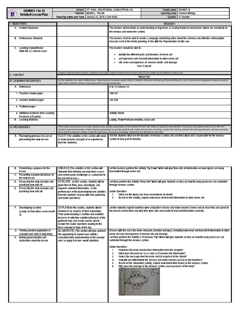 Grade 10 Nervous System Lesson Plan | PDF | Nerve | Neuron
