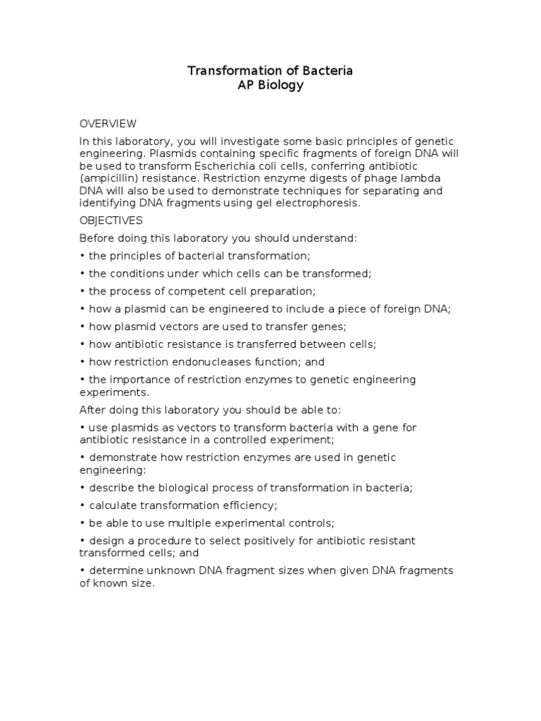 Bacterial Transformation Lab Overview | PDF | Plasmid | Transformation ...