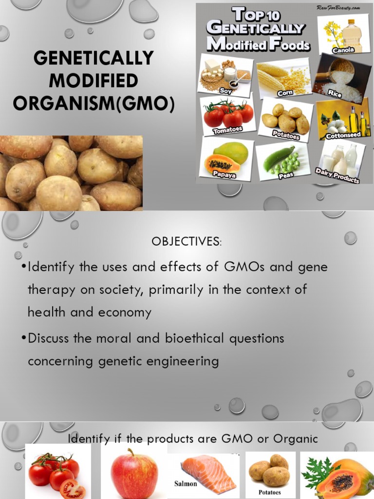 Understanding GMOs: Uses, Ethics, and Impact | PDF | Genetically ...