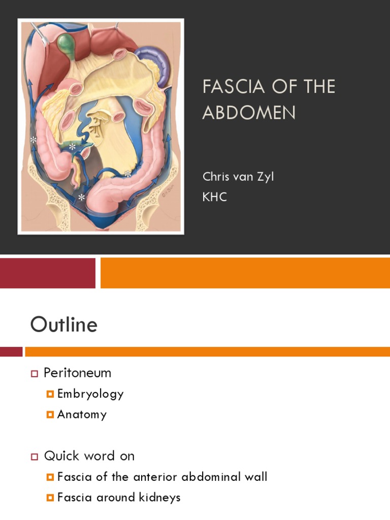 Anatomy of the Abdominal Wall Fascia and Peritoneum | PDF | Peritoneum ...