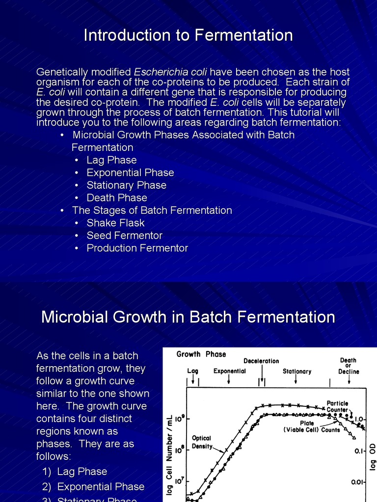 Fermentation | Fermentation | Cell Growth