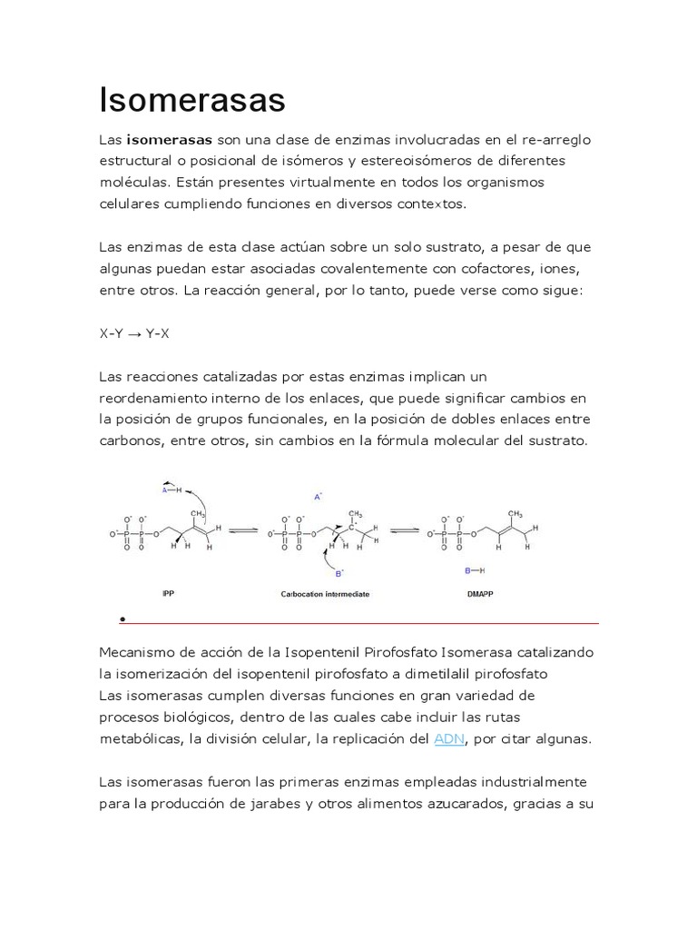 Isomerasas | PDF | Enzima | Metabolismo