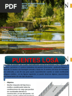 PARAPETOS | PDF | Puente | Ingeniería estructural