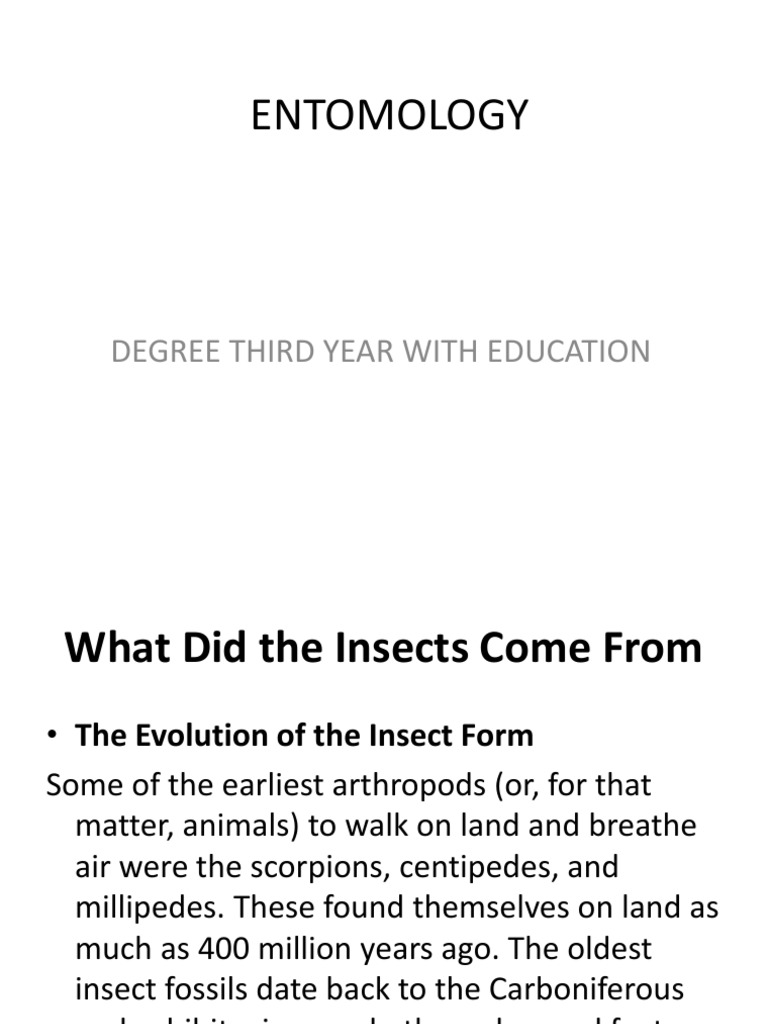 INTRODUCTION TO ENTOMOLOGY DEGREE 3yrs | PDF | Animal Anatomy | Zoology