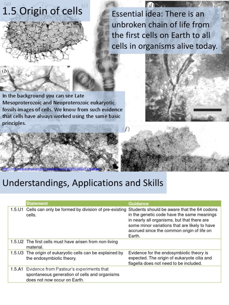 1.5 Origin of Cells II | PDF | Cell (Biology) | Abiogenesis