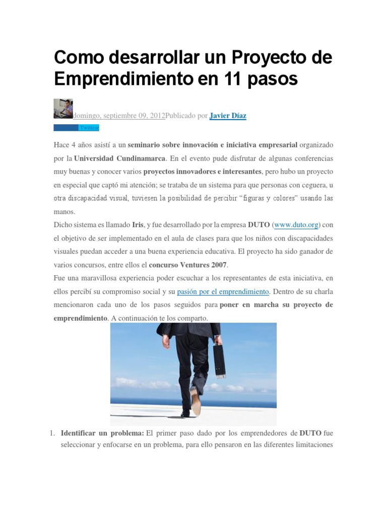 Pautas para Emprendimiento | PDF | Iniciativa empresarial | Software
