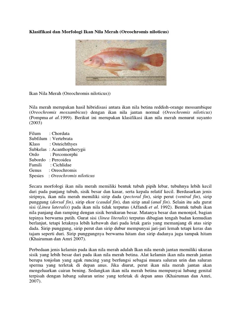 Klasifikasi dan Morfologi Ikan Nila Merah | PDF