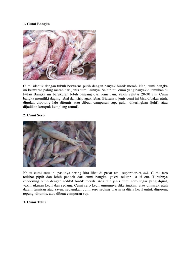Jenis-Jenis Cumi dan Ciri-Cirinya | PDF | Memasak, Makanan, & Anggur ...