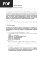 Biosíntesis de Fosfolípidos y Esfingolípidos | PDF | Biosíntesis | Lípido