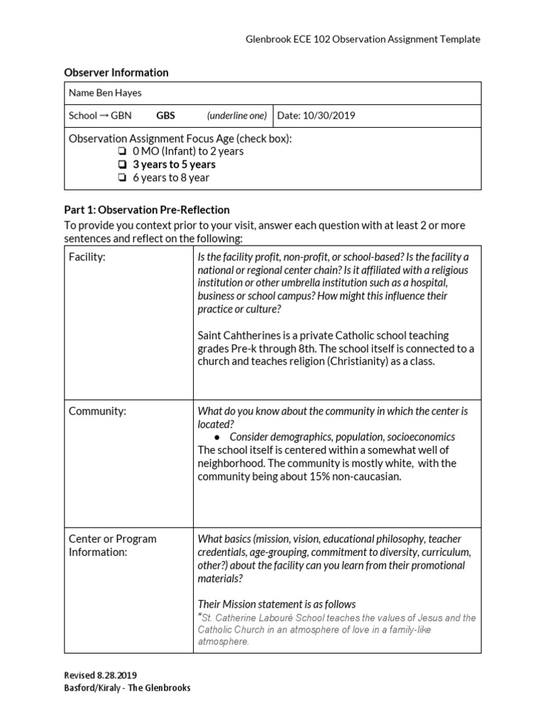 Glenbrook ECE 102 Observation Template | PDF | Developmental Psychology ...