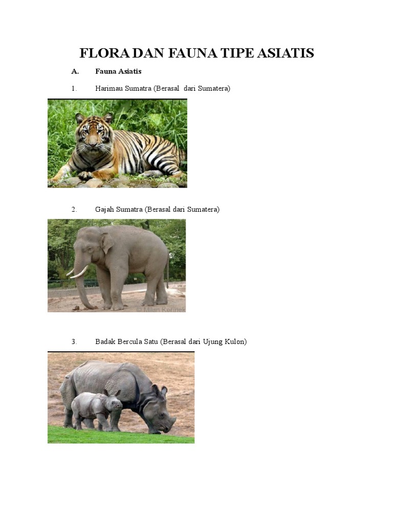 Flora Dan Fauna Tipe Asiatis | PDF