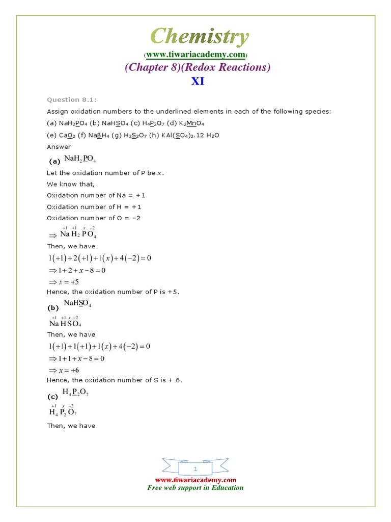11 Chemistry NcertSolutions Chapter 8 Exercises | PDF | Redox | Ion