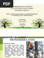 Pallet Norma IRAM 10016 | PDF