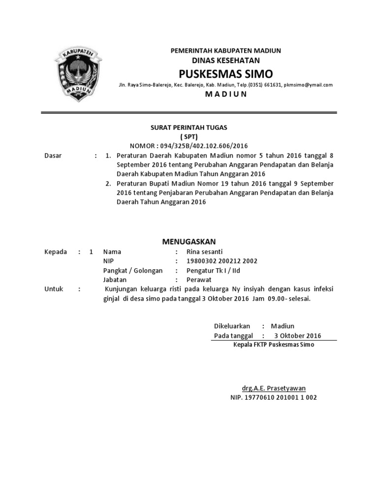 Surat Tugas PHN Baru | PDF