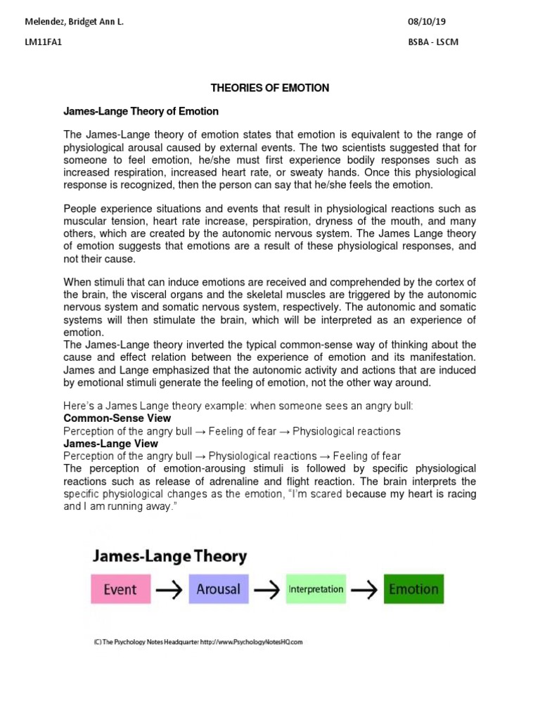 Theories of Emotion | PDF | Emotions | Metaphysics Of Mind