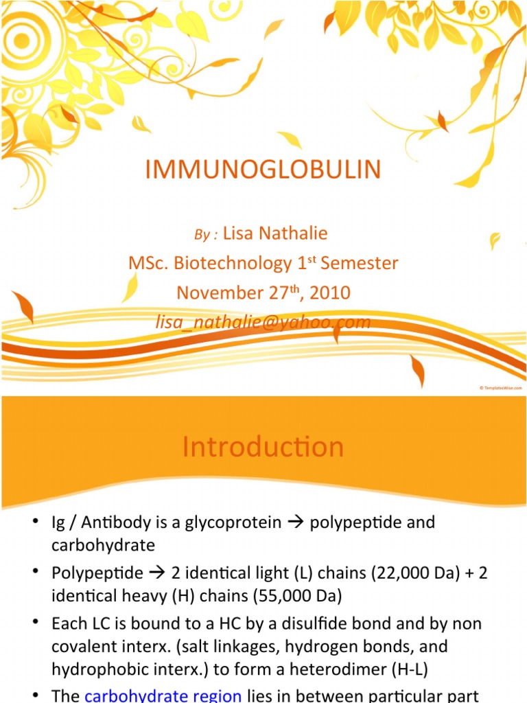 Structure of Ig | PDF | Antibody | Immunoglobulin G