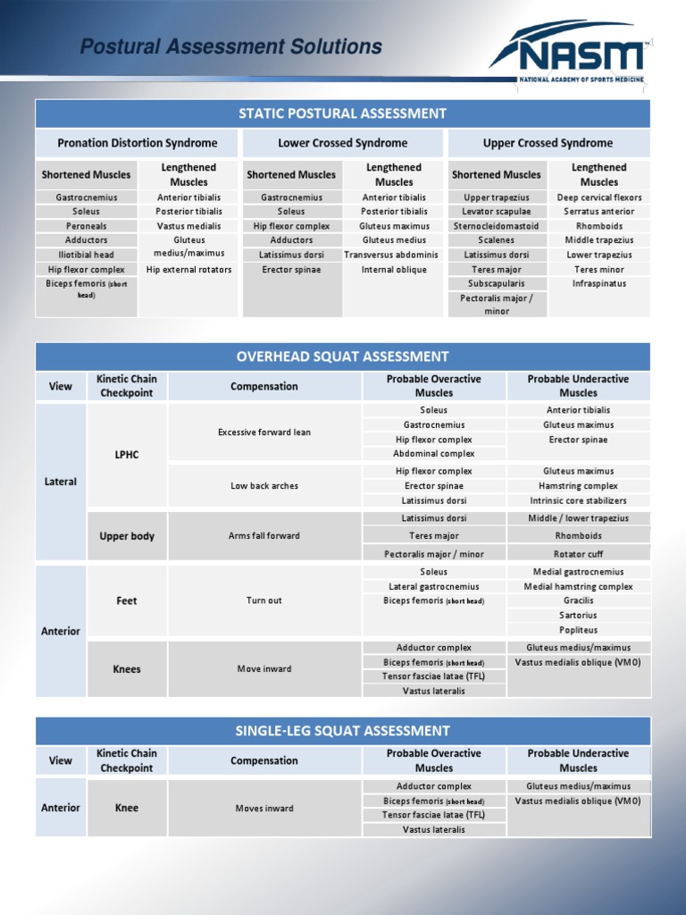 Nasm-Cpt Assessment Solutions Table Cpt6-Update PDF | PDF ...