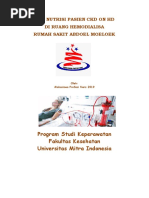 Sdki Slki Siki Risiko Perfusi Renal Tidak Efektif | PDF