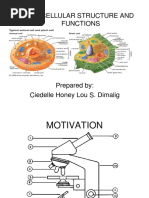 Cell Structure Quiz | PDF | Organelle | Cell (Biology)