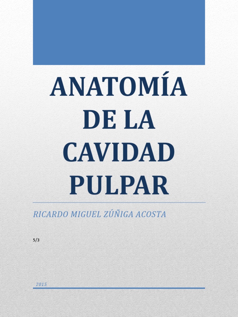 Anatomía de la Cavidad Pulpar Dental | PDF | Ramas de Odontología | Diente