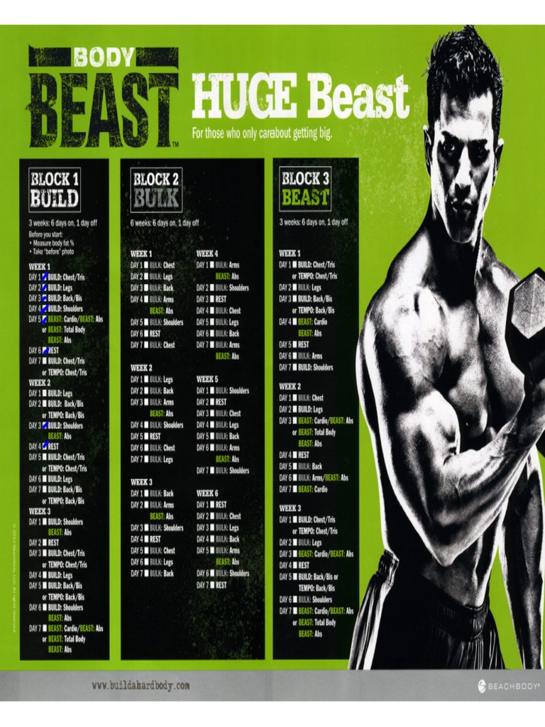 Body Beast Workout Schedule (Huge Beast) PDF | PDF
