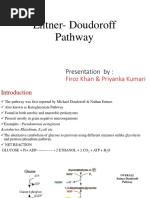 The Entner-Doudoroff Pathway | PDF