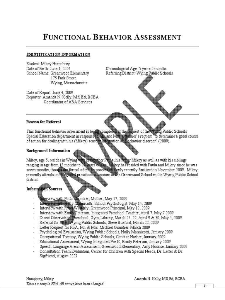 Functional Behavior Assessment Sample | Download Free PDF ...