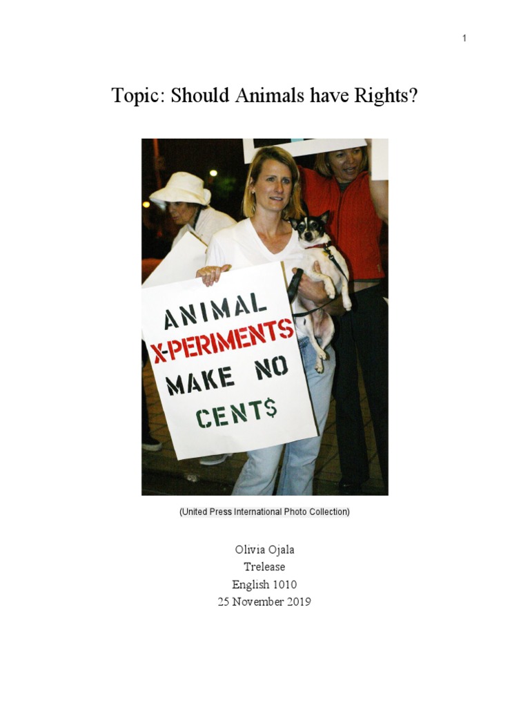 Viewpoint Synthesis Outline 1 | PDF | Animal Rights | Animal Testing