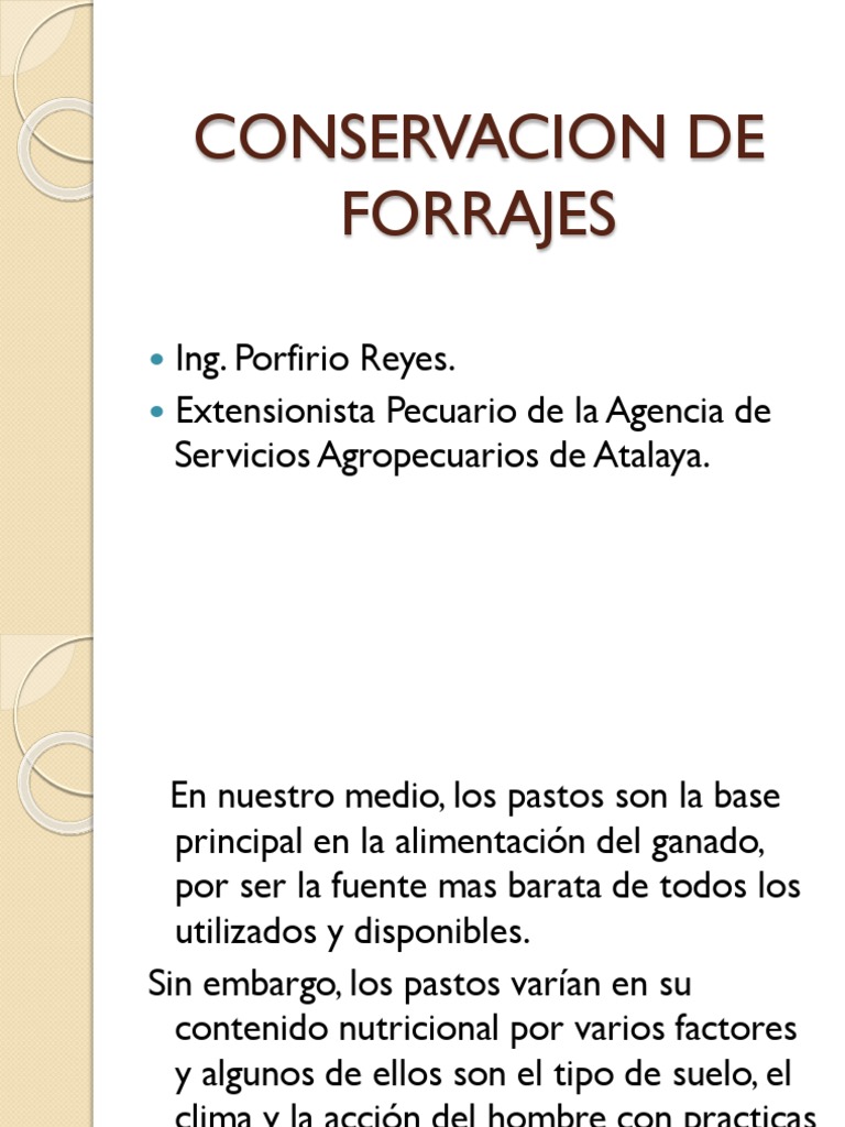 Conservacion de Forrajes | PDF | Heno | Comida y bebida