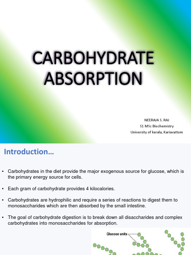 CARBOHYDRATE ABSORPTION (Ref) | PDF | Small Intestine | Glucose