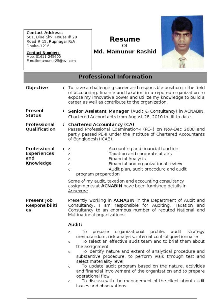 CV of Mamun - 05112010 | PDF | Taxes | Audit