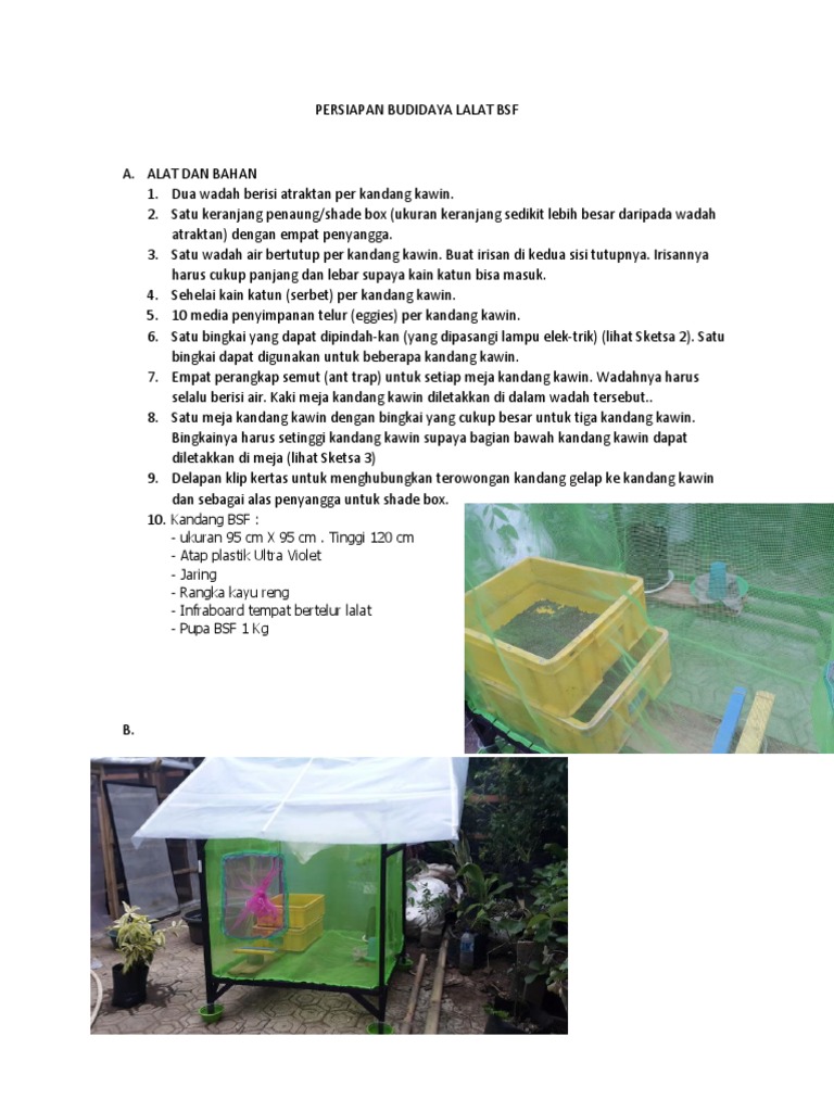 Panduan Budidaya Lalat BSF | PDF